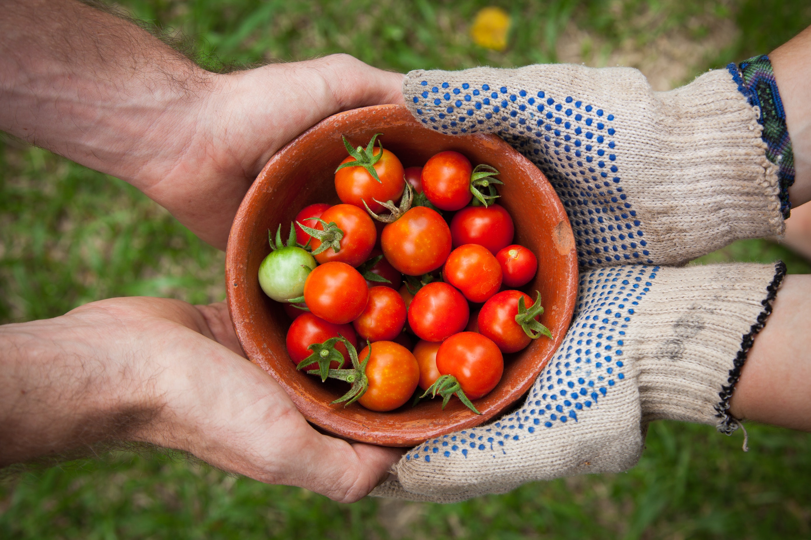 Halving food waste and raising climate ambition: SDG 12.3 and the Paris ...