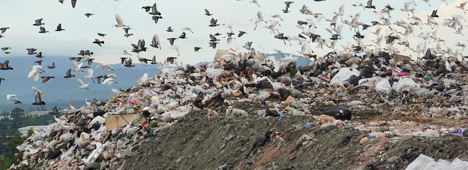 SEA circular Project | UNEP - UN Environment Programme