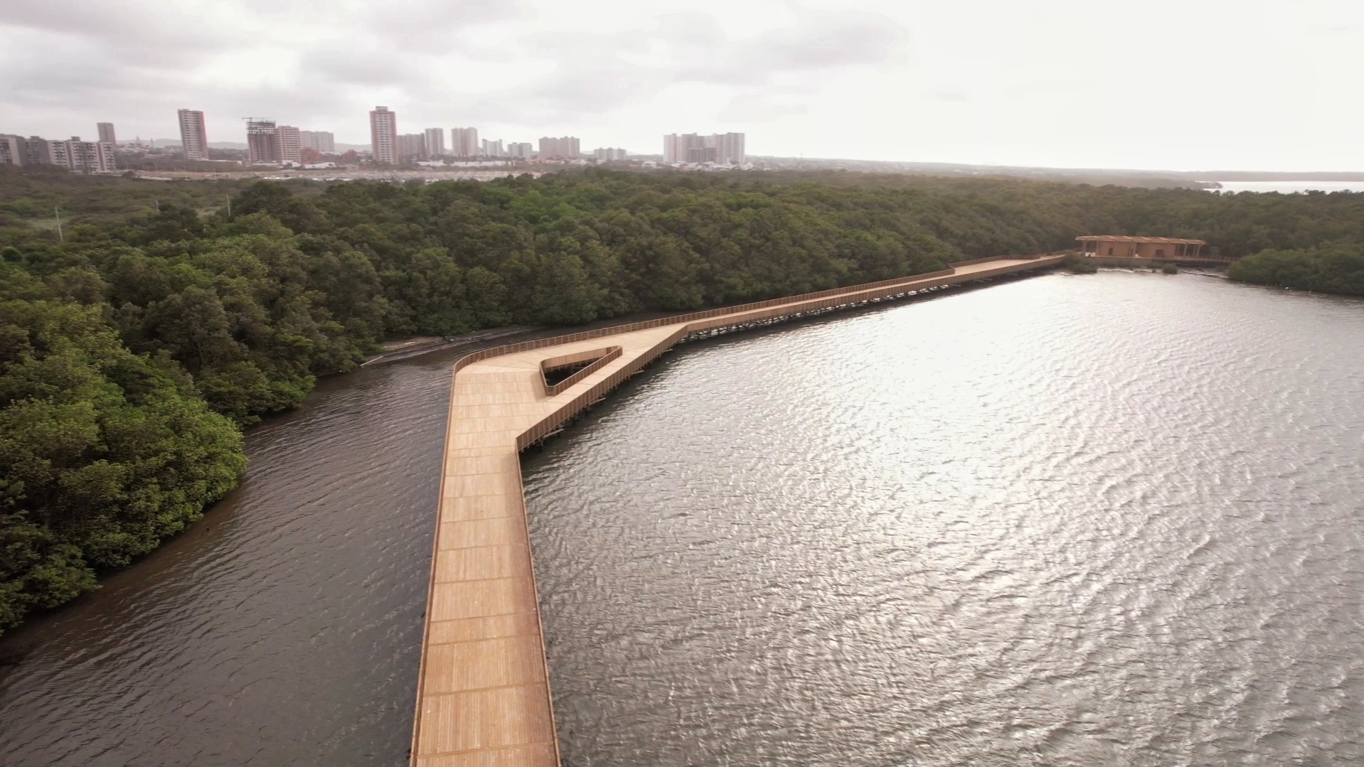 On World Environment Day, UNEP announces six new cities joining # ...