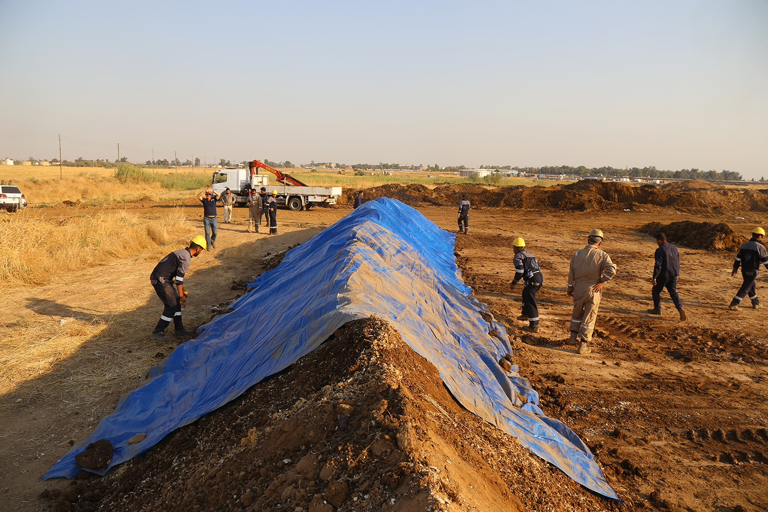 Microbes offer hope of cleaning up Iraq conflict’s pollution legacy ...