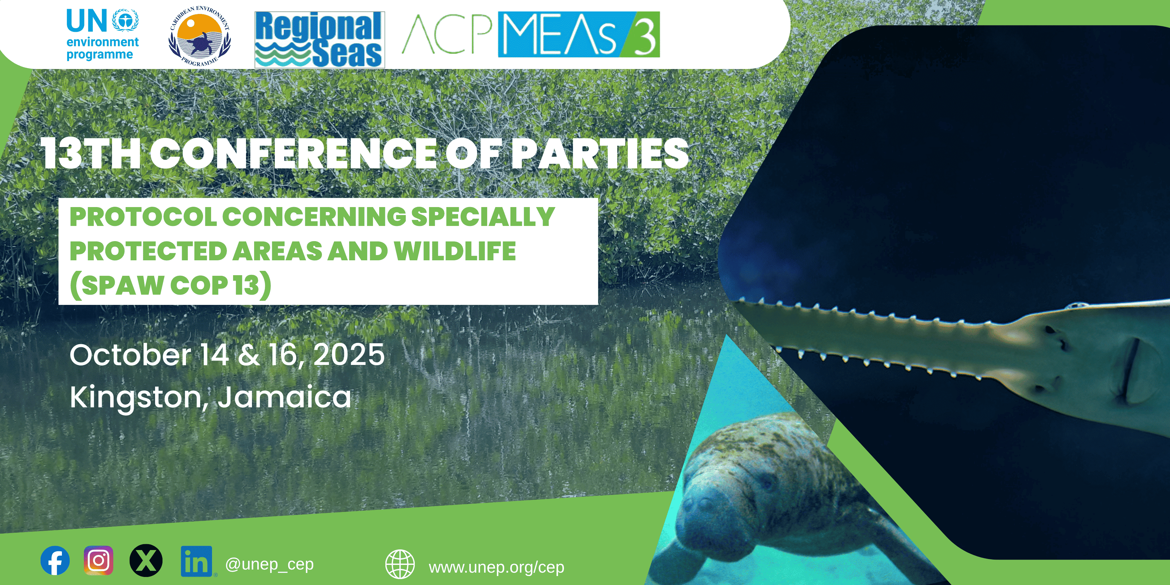SPAW COP13 | The Caribbean Environment Programme (CEP)