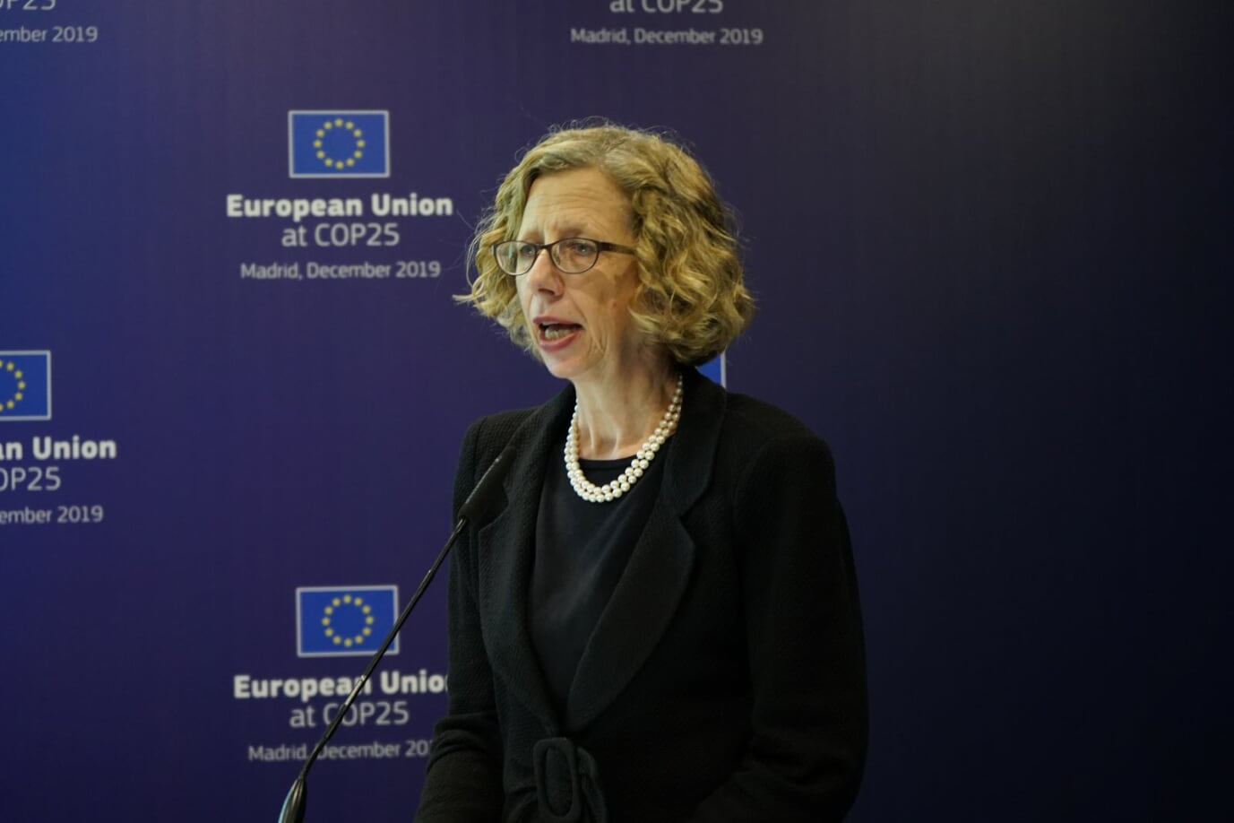 COP25 Wrap Up with Inger Andersen | Global Adaptation Network (GAN)