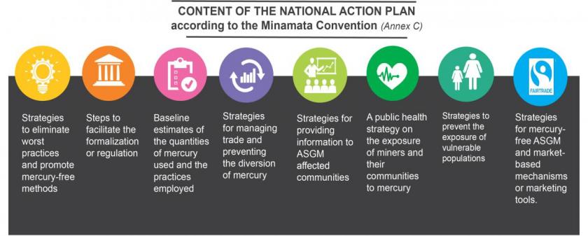 National Action Plan | Global Mercury Partnership