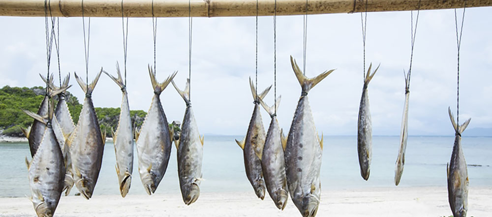 South China Sea countries to cooperate on integrating fisheries and ...