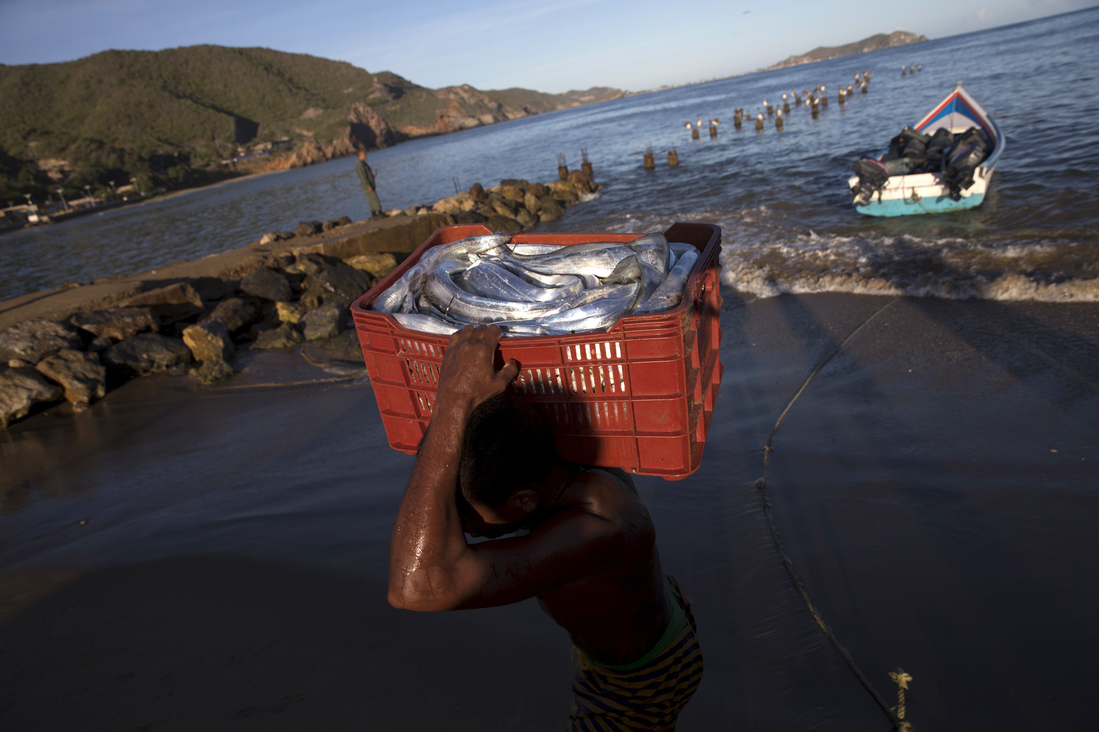 Fisheries Subsidies at the World Trade Organization’s Eleventh ...