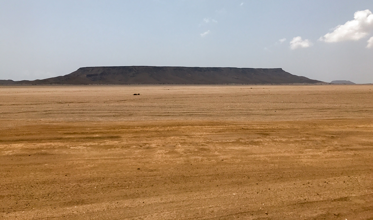 Oasis dreaming: regreening the Djiboutian Desert