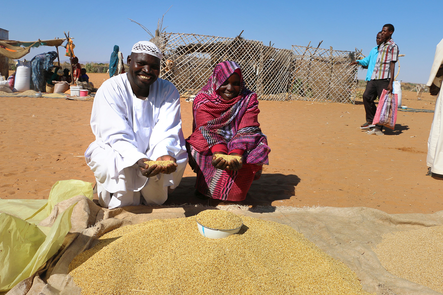 Building resilience and peace in resource-scarce Darfur