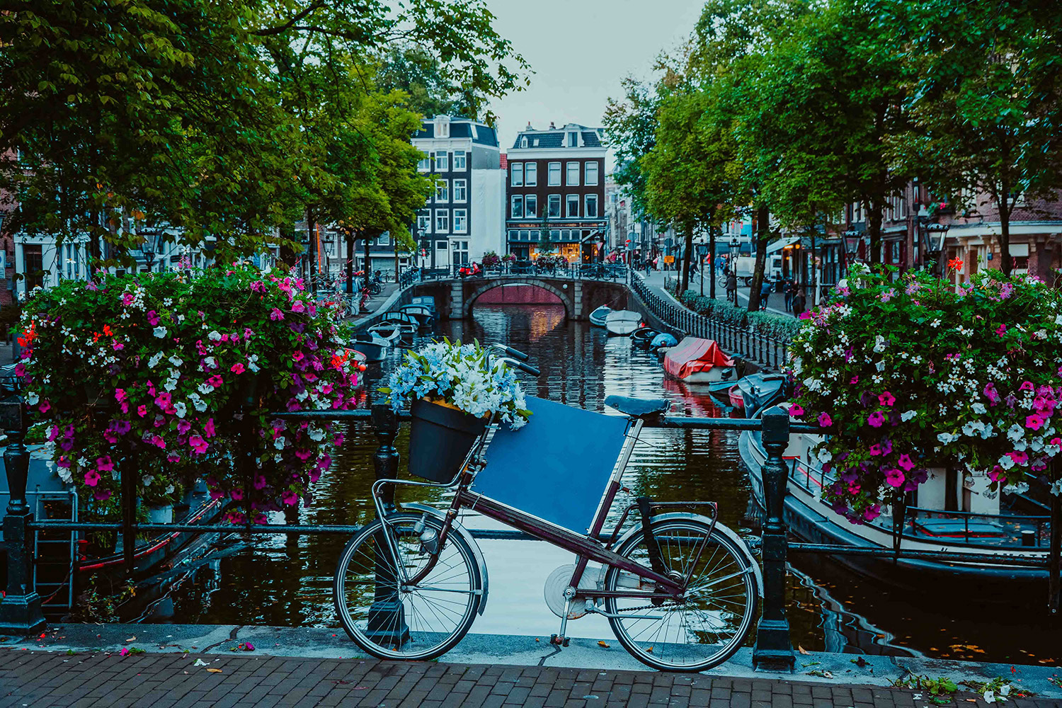 Netherlands physical environment