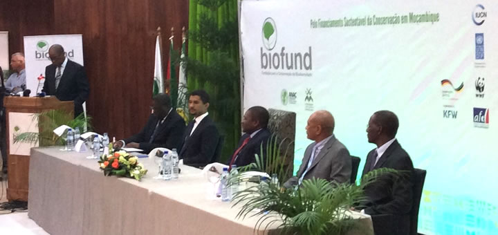 Mozambique, the Biofund, and Moving towards Post-Extractive Economies ...