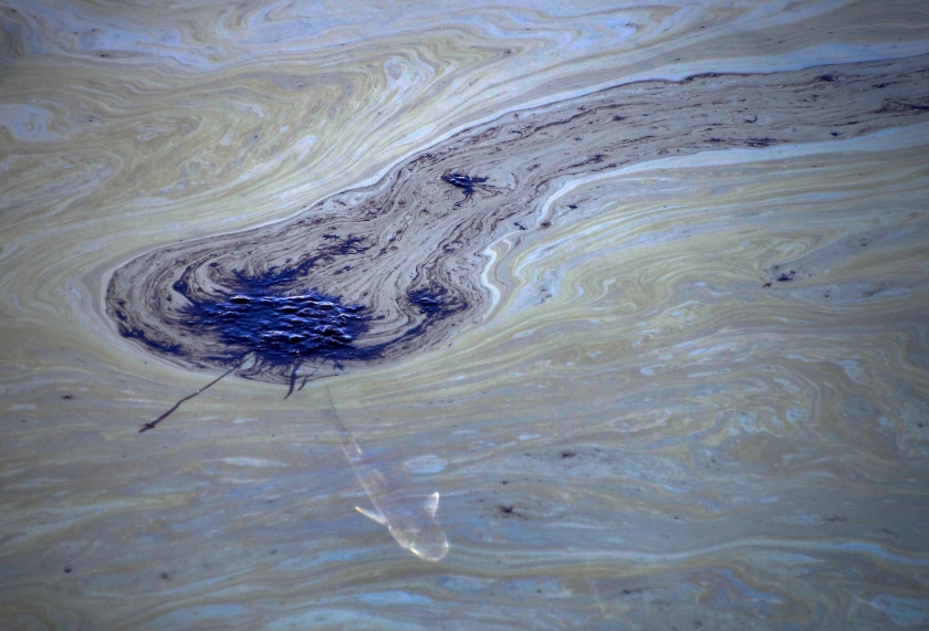 How To Manage The Damage From Oil Spills How To Manage The Damage From Oil Spills