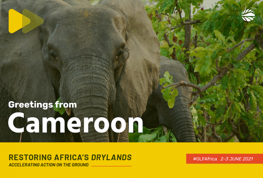 Spotlight on nature and biodiversity | UNEP - UN Environment Programme