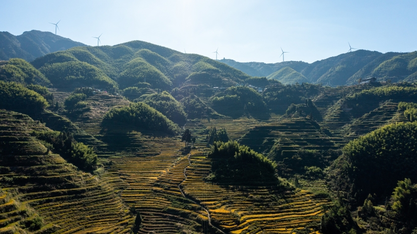 Science and tradition drive China-wide effort to restore landscapes