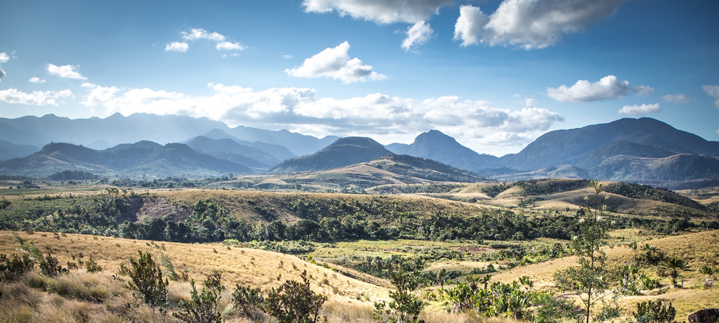 Fighting for the last Eden: saving Madagascar’s unique species