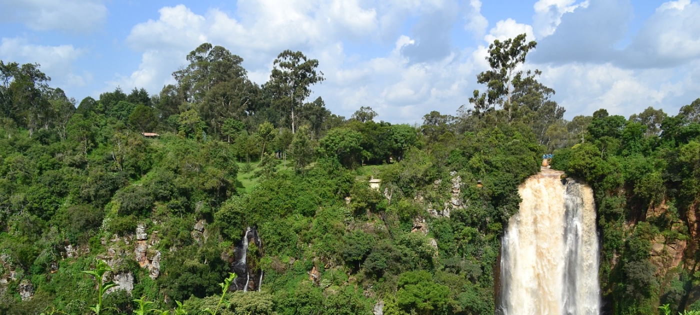 UN Environment joins campaign to green Kenya