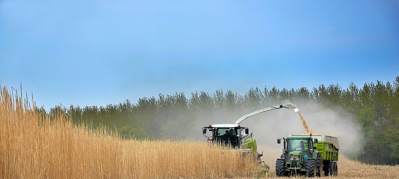 Integrate environmental sustainability into the Sustainable Development ...