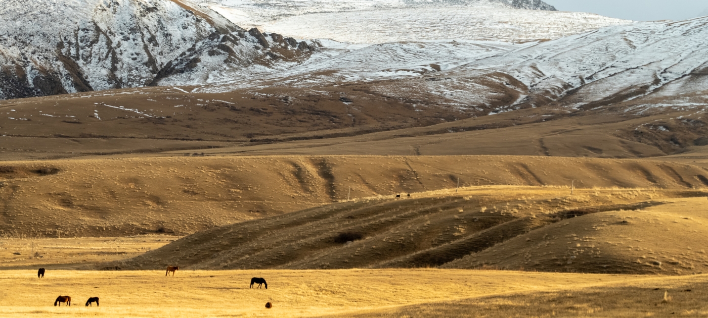 Conservation, restoration and sustainable use | UNEP - UN Environment ...