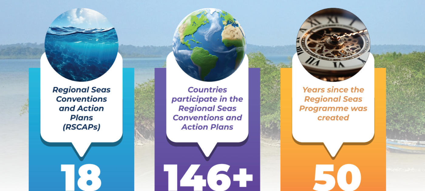 Regional Seas Programme | UNEP - UN Environment Programme