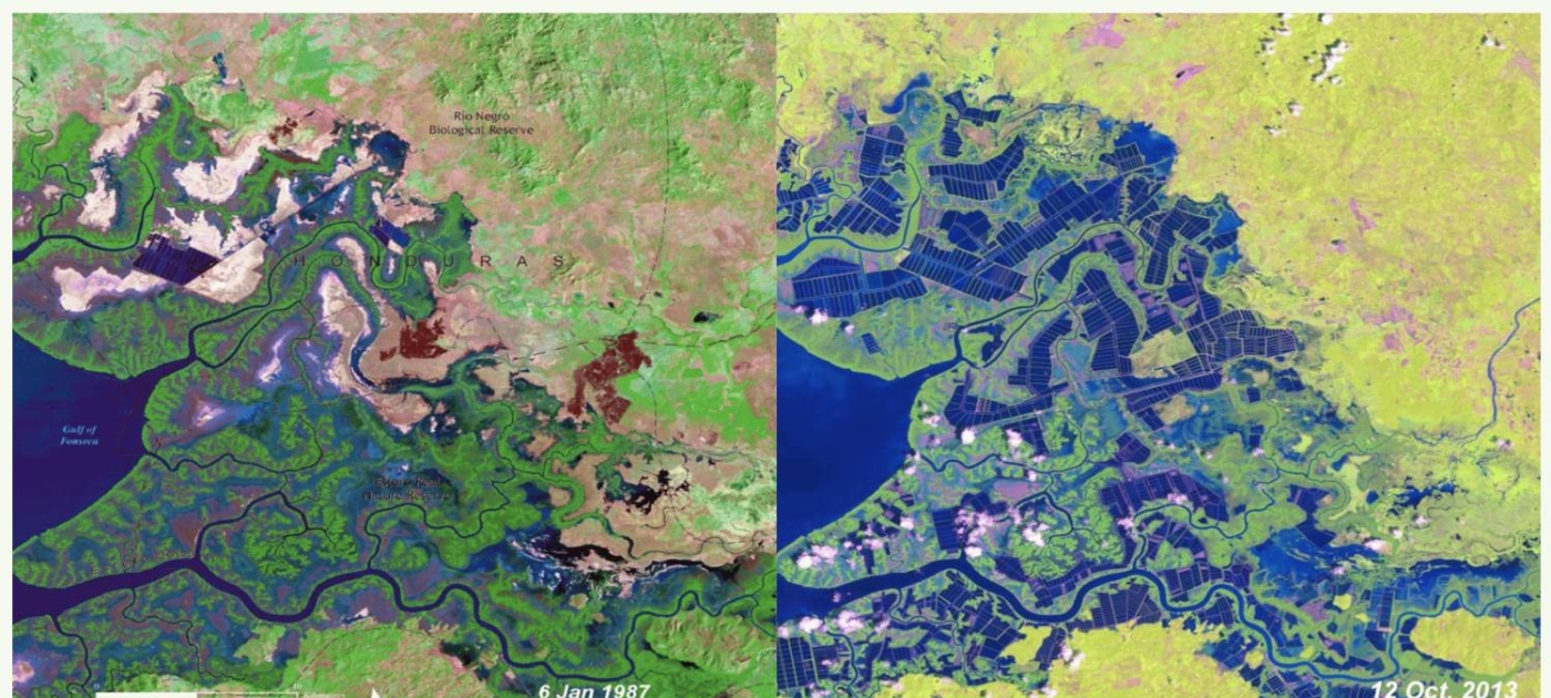 Disasters and conflicts | UNEP - UN Environment Programme