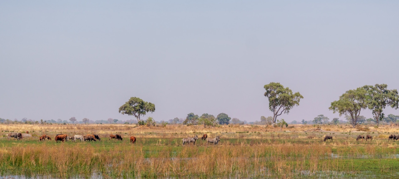 Resources | UNEP - UN Environment Programme