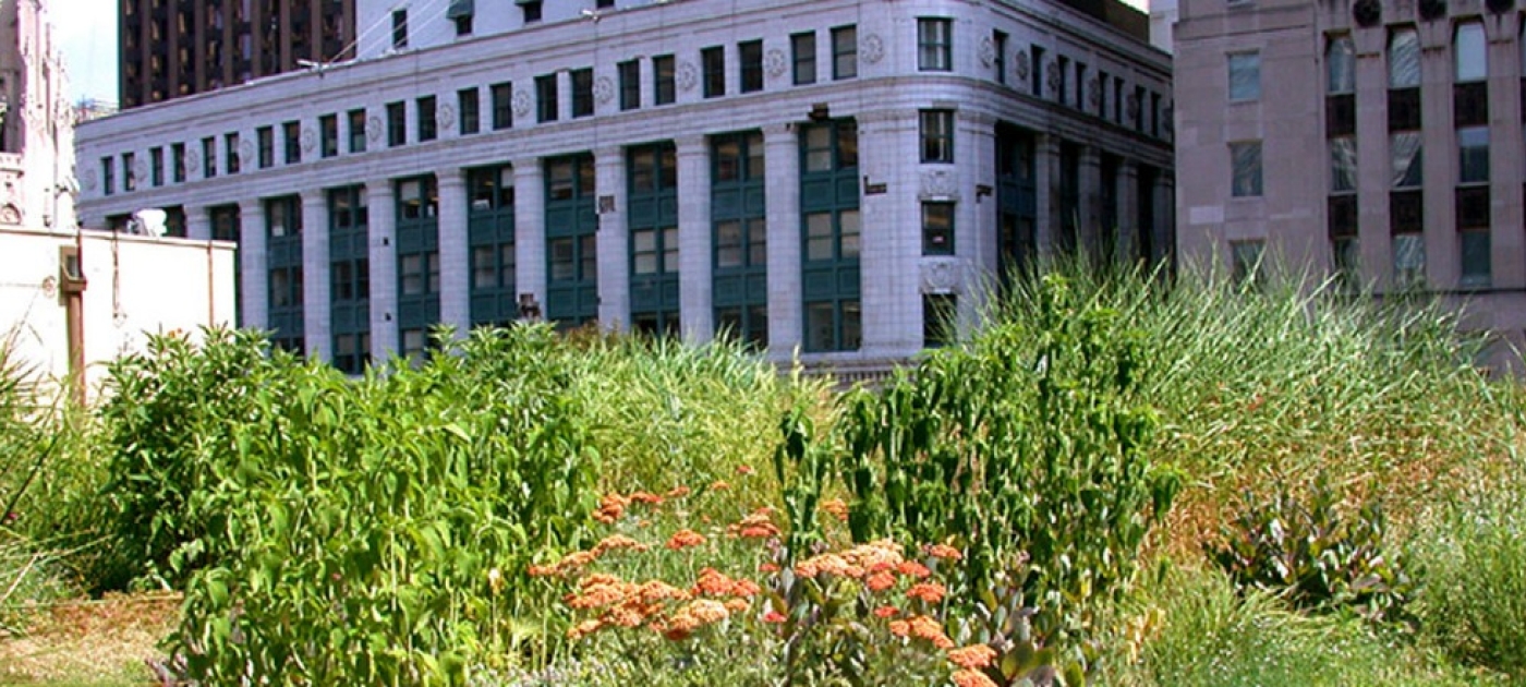 Financing for Green Infrastructure Investment