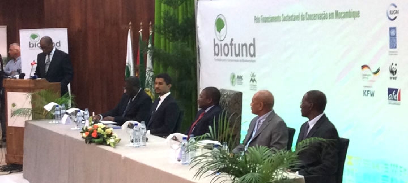 Mozambique, the Biofund, and Moving towards Post-Extractive Economies ...