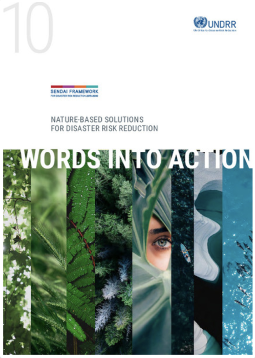 Disaster risk reduction | UNEP - UN Environment Programme