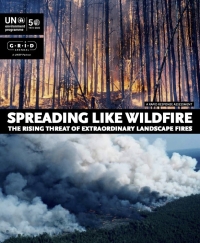 Managing wildfires | UNEP - UN Environment Programme
