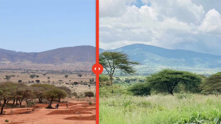 Becoming #GenerationRestoration: Ecosystem Restoration for People ...