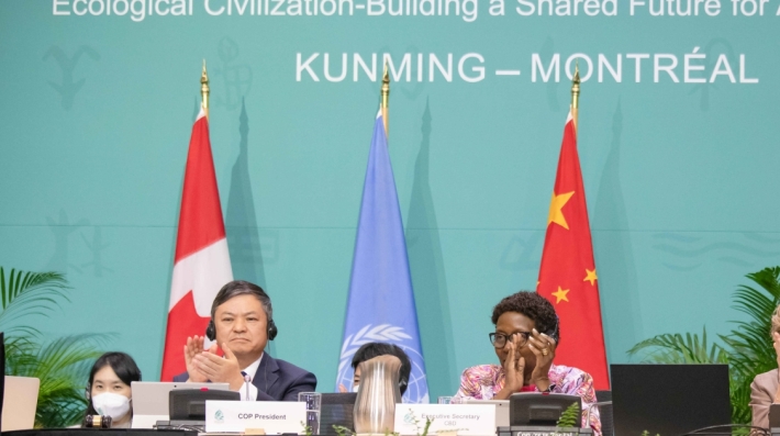 Disaster risk reduction | UNEP - UN Environment Programme