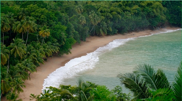 Climate Transparency | UNEP - UN Environment Programme