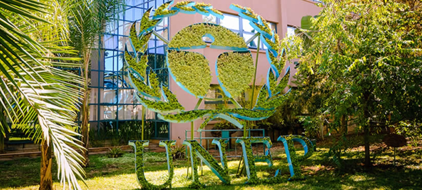 Ligia Noronha appointed Assistant Secretary-General and Head of the ...