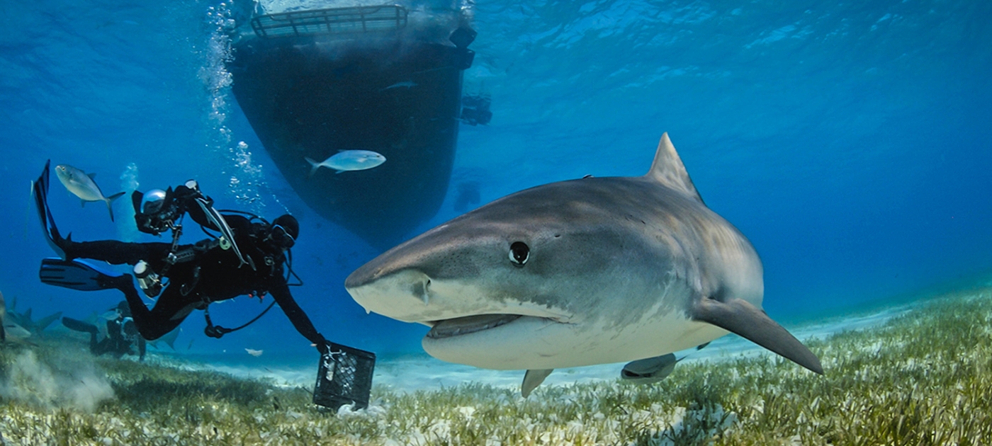 5 reasons why a healthy ocean is linked to human rights
