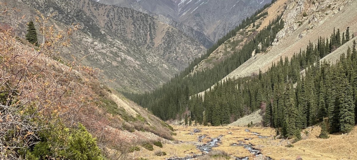 Eight ways Asia is using nature to adapt to the climate crisis
