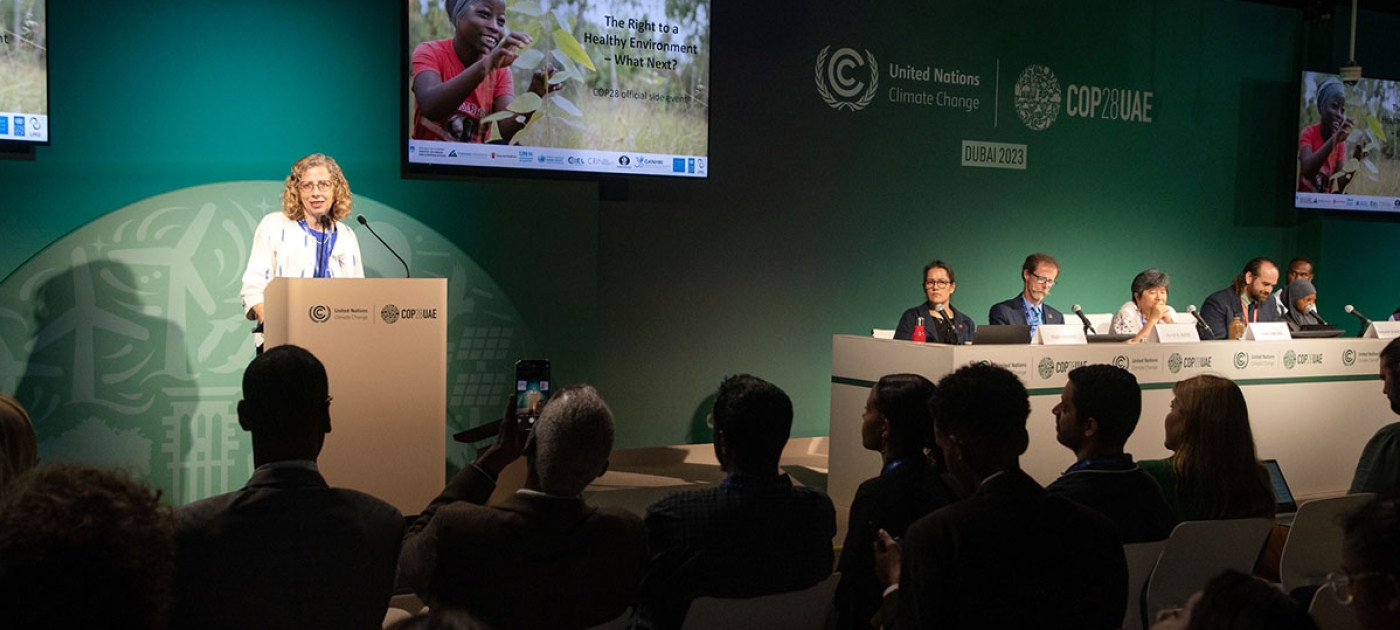 Putting the right to a healthy environment into practice