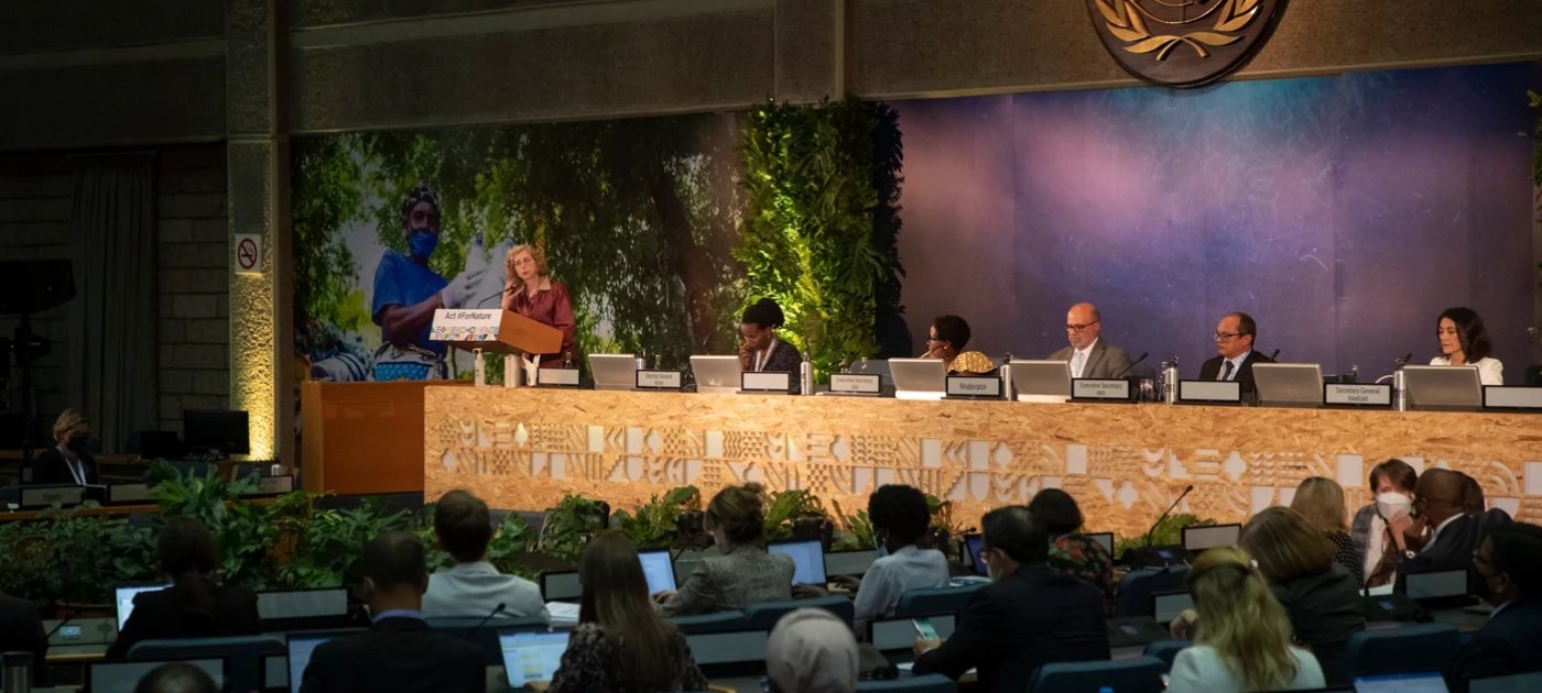 How Multilateral Environmental Agreements can help mend the planet
