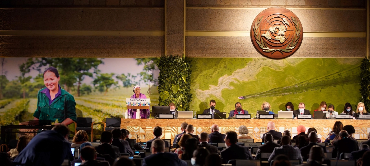 UN Environment Assembly to take on triple planetary crisis