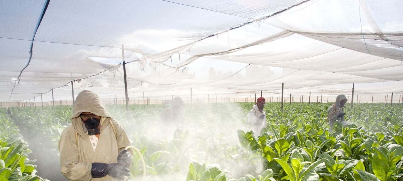 Spotlight on chemicals and pollution action | UNEP - UN Environment ...