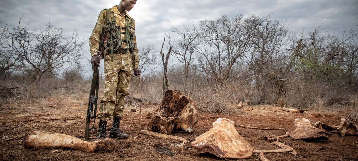 On the frontline against wildlife poaching in Uganda