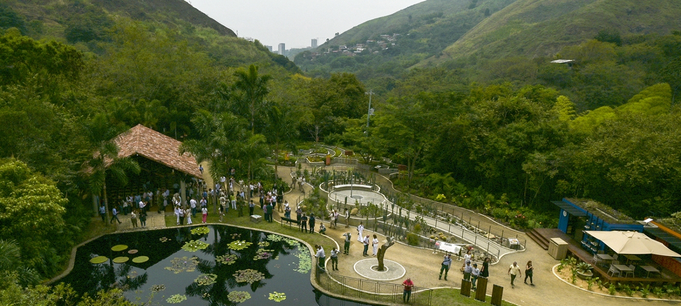 To counter climate change, Colombian cities weave nature back into ...
