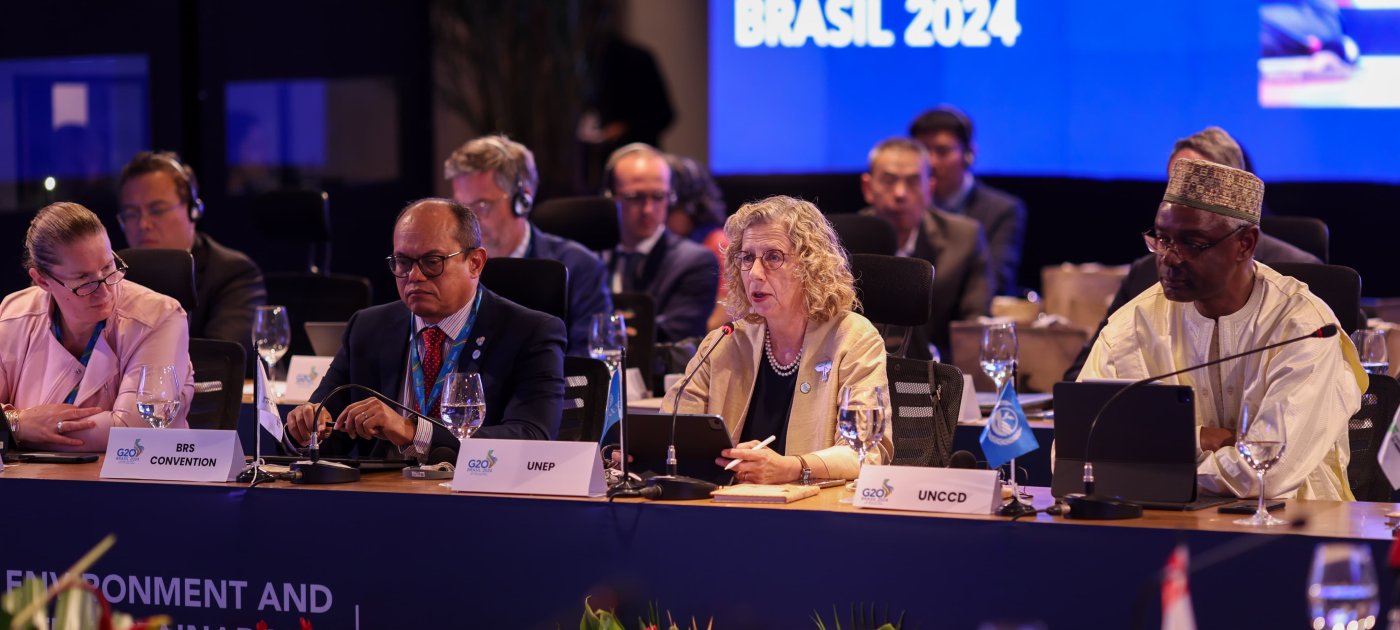 G20 Ministerial Declaration reaffirms commitment to tackle ...