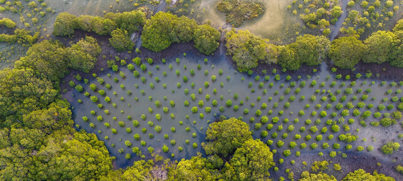 Ecosystem management | UNEP - UN Environment Programme