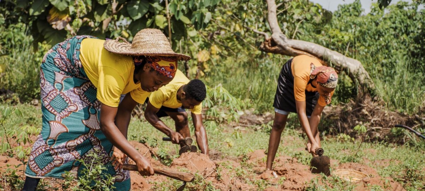 UNEP's Nutrient Brief | UNEP - UN Environment Programme