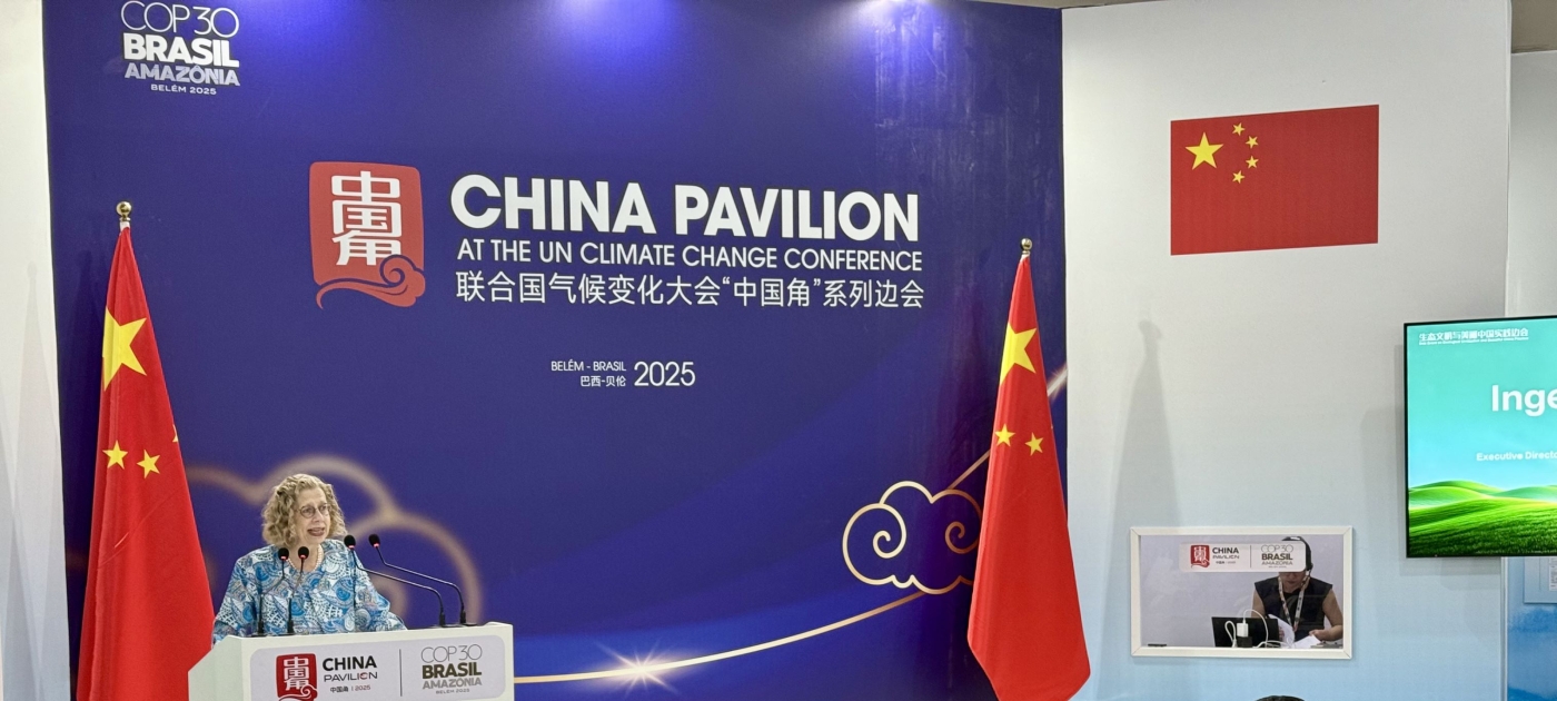Why China’s determination on climate and nature matters for global goals