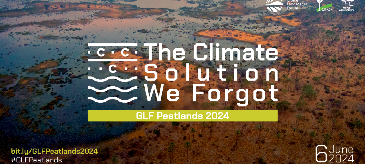 GLF Peatlands 2024: The Global Peatlands Assessment - Mapping, Policy ...