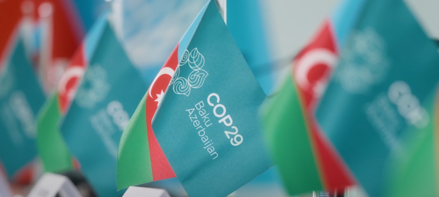 United Nations Climate Change Conference (UNFCCC COP 29)