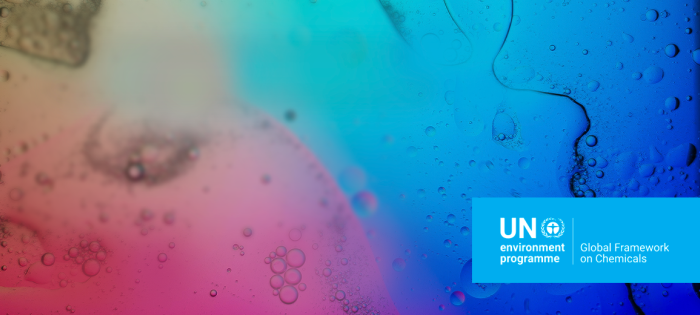Open-ended Working Group (OEWG) of the Global Framework on Chemicals
