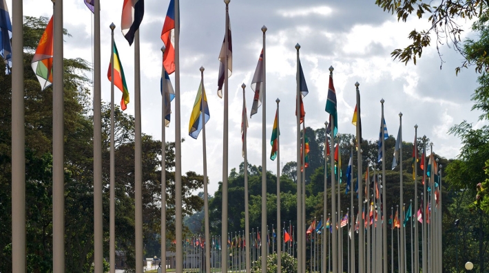 Unep Flag