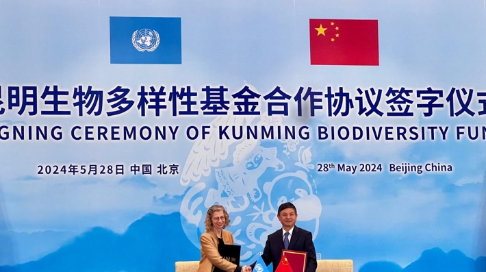 As a new era of environmental rule of law takes shape, UN recommends ...
