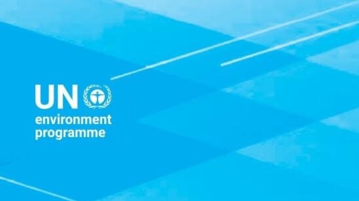 UNEP Programme of Work and Budget for 2022‒2025 (POW) - Annex 1 of For ...
