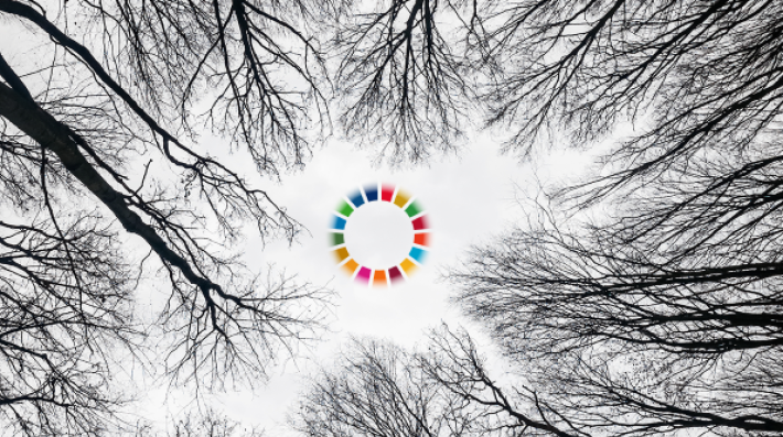 Annual Report 2024 | UNEP - UN Environment Programme